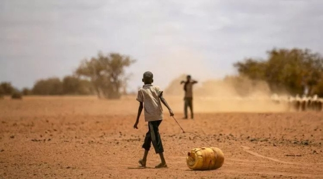 Somali'de kuraklığın faturası: 1 yılda 43 bin ölü - Kurabaz Somali'de kuraklığın faturası: 1 yılda 43 bin ölü - Kurabaz